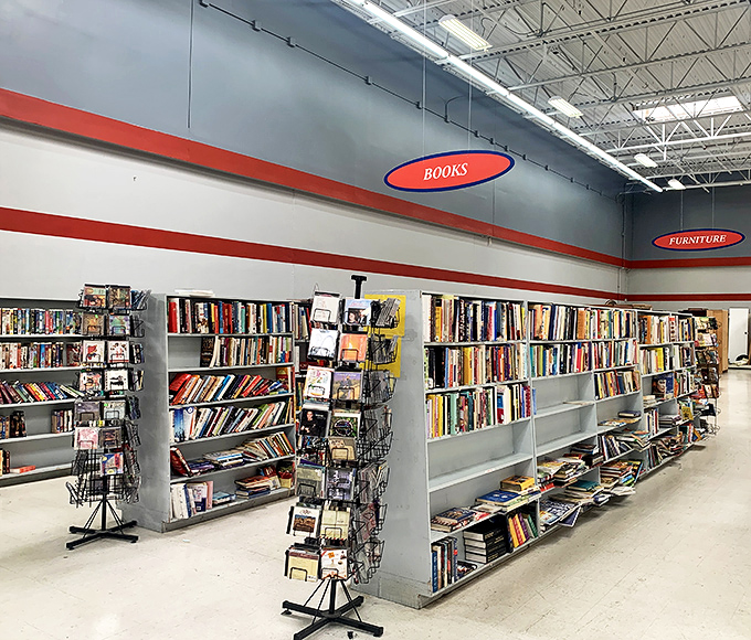 Bibliophiles, prepare your tote bags! The book section offers literary adventures at pocket-change prices, with genres spanning from romance to rocket science.