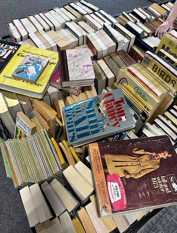 Literary treasures stacked with the chaotic precision of a bibliophile's dream. Somewhere in this paper jungle lies the perfect beach read.