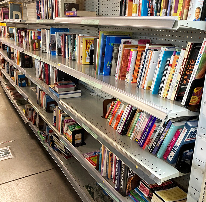 Literary treasures line these shelves like old friends ready to share their stories again.