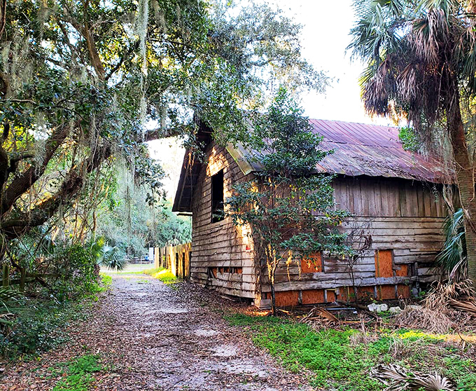 This rustic cabin whispers stories of old Florida, when pioneers worried about alligators, not property taxes or HOA regulations.