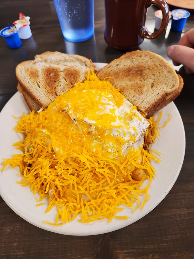 Breakfast with no filter&mdash;eggs, cheese, and toast conspiring with a mountain of shredded cheddar to ensure your day starts with a proper Ohio hello.
