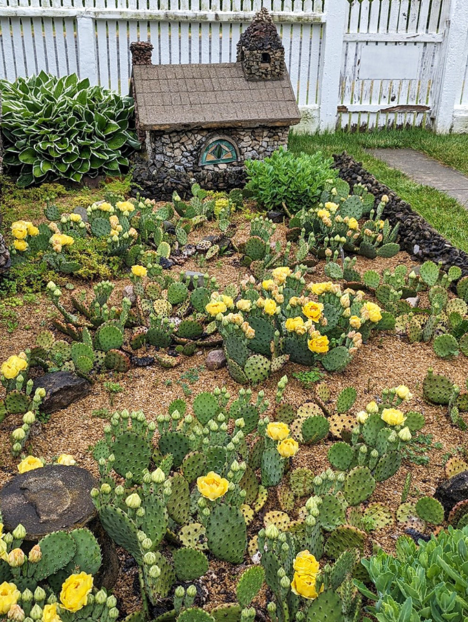 Desert meets Ohio in this delightful cactus garden that thrives despite the Midwest climate.