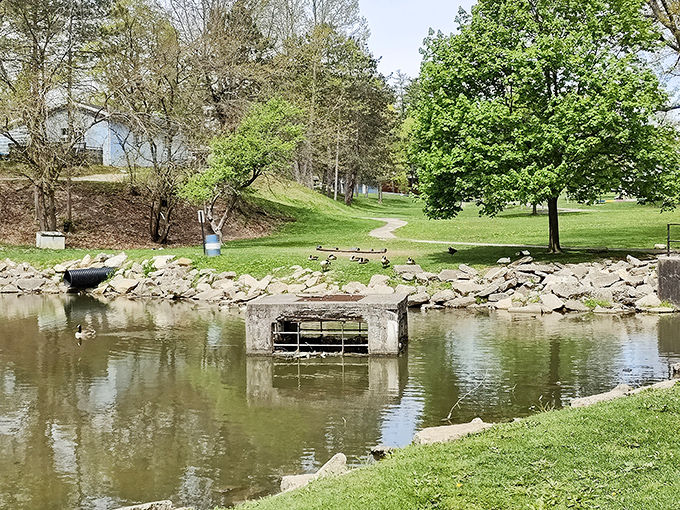 Cambridge City Parks offer that perfect blend of serenity and ducks&mdash;nature's most persistent reminder that bread crumbs are never truly wasted.