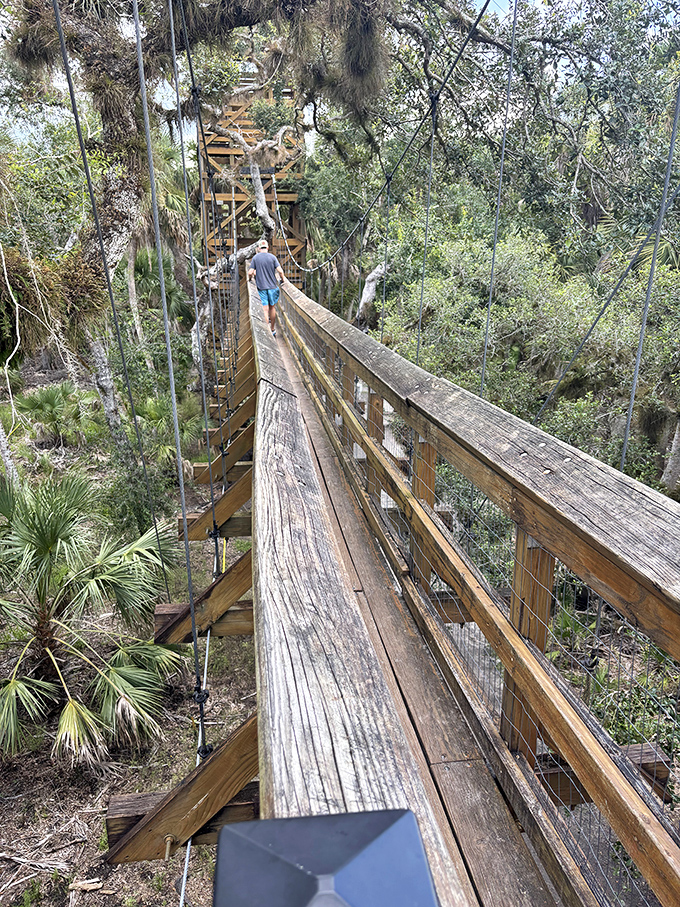 Walking the canopy walkway feels like cheating evolution &ndash; humans weren't meant to stroll among treetops, but we're certainly glad we can!
