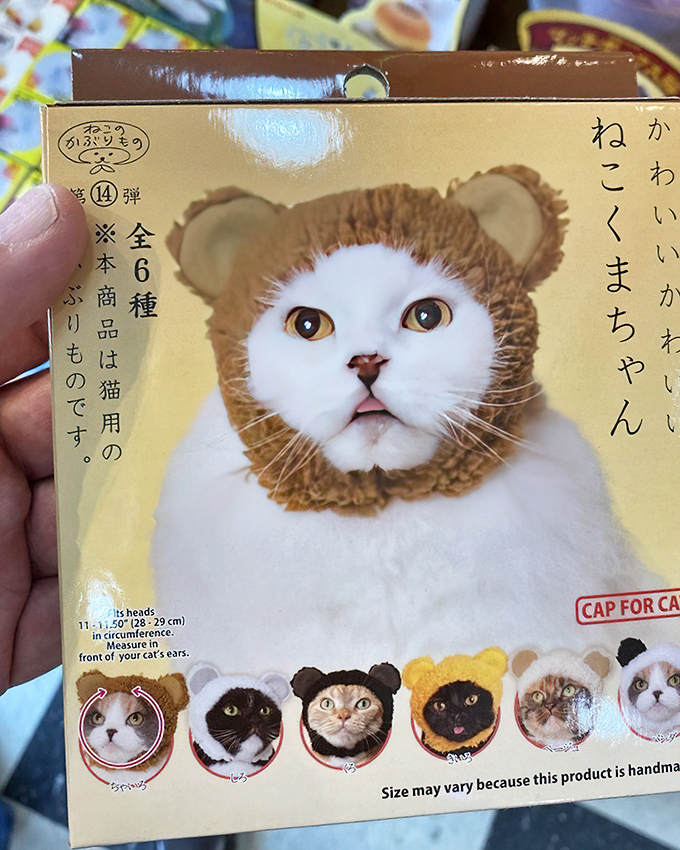 Even your feline friends get the fashion treatment with adorable caps designed just for cats.