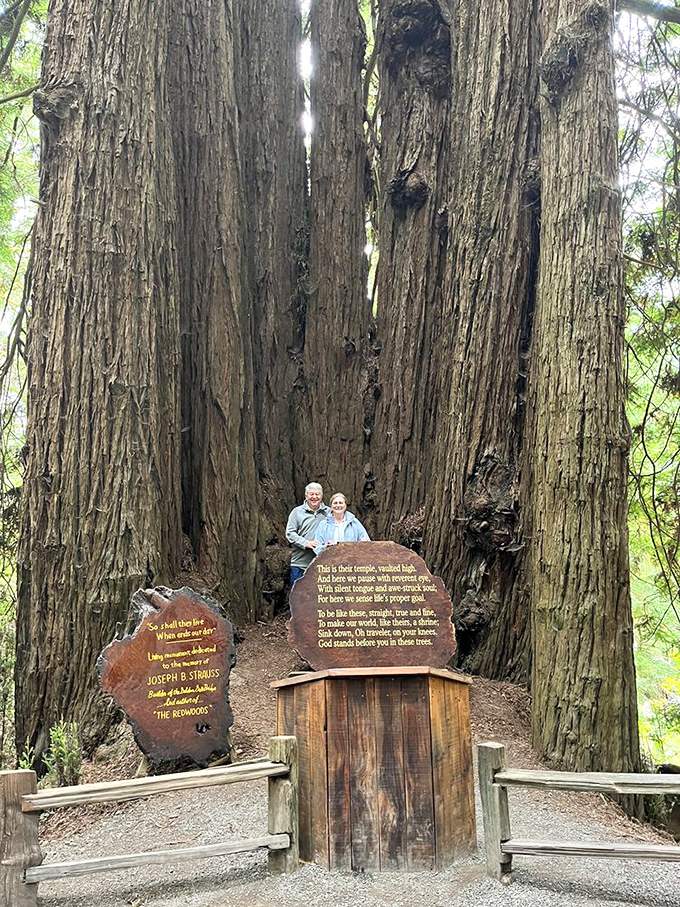 Standing between these massive trunks is like finding yourself in nature's cathedral&mdash;the kind where the dress code is hiking boots and wonder.