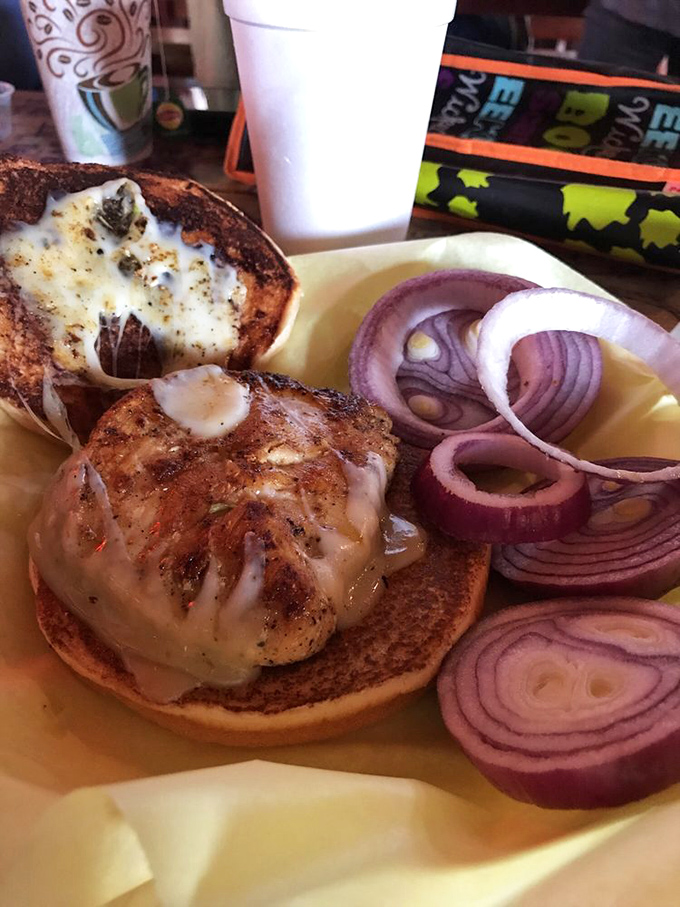 This chicken sandwich isn't playing around – perfectly seasoned, melty cheese, and those red onions standing by like tasty backup dancers.