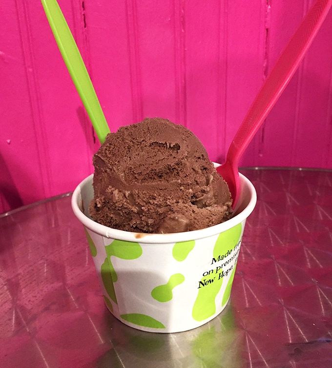 Rich chocolate that looks dense enough to have its own gravitational pull. The pink backdrop makes every scoop a star.