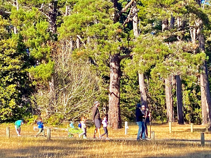 Families stroll through sun-dappled meadows bordered by towering pines, creating those Norman Rockwell moments that never quite happen at the mall.