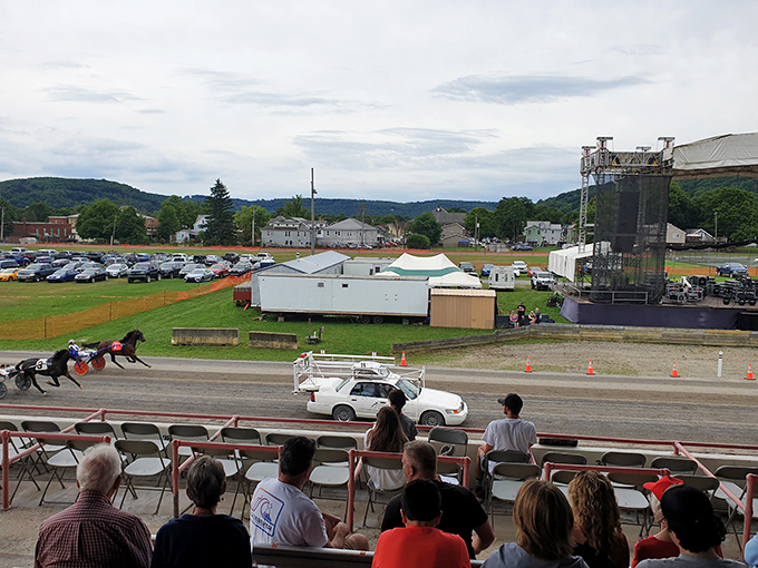 Harness racing at the Clearfield County Fair combines rural tradition with affordable family entertainment that's increasingly rare in America's pricier destinations.