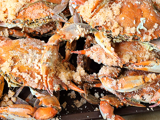 Those steamed crabs arrive wearing their spicy armor, ready for the delicious battle of crack, pick, and savor.