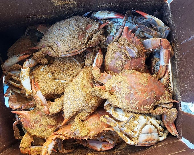 Behold the Old Bay-dusted stars of the show! These steamed crabs aren't just food&mdash;they're an interactive dining experience that rewards persistence.
