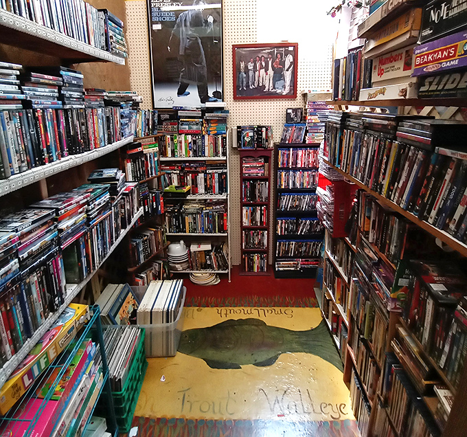 A cinephile's dream den&mdash;where forgotten blockbusters and cult classics sit side by side, waiting for their second act in your home theater.