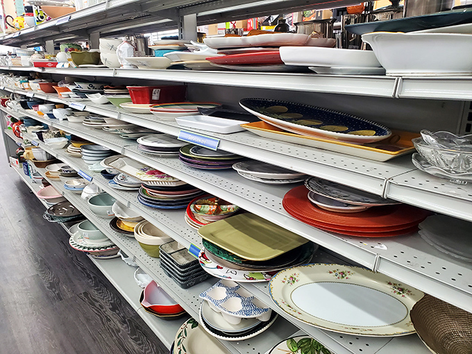 Enough plates and bowls to host Thanksgiving for the entire neighborhood &ndash; twice.