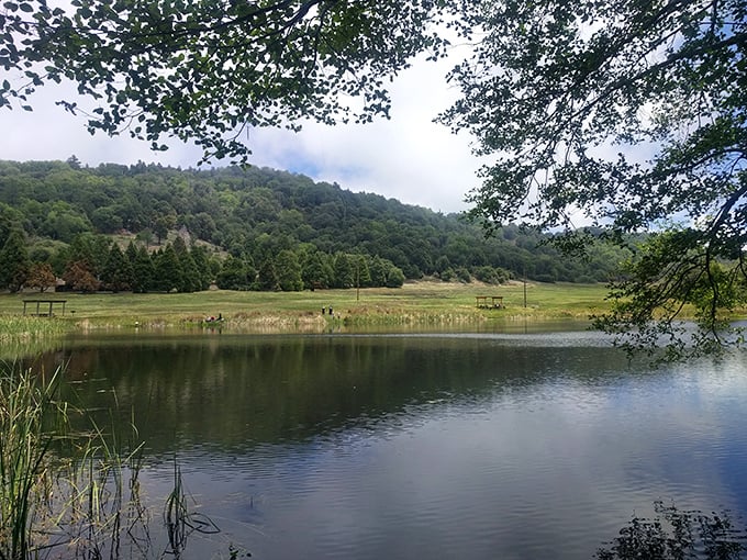 Doane Pond reflects the surrounding mountains like nature's own Instagram filter. No charging station required.