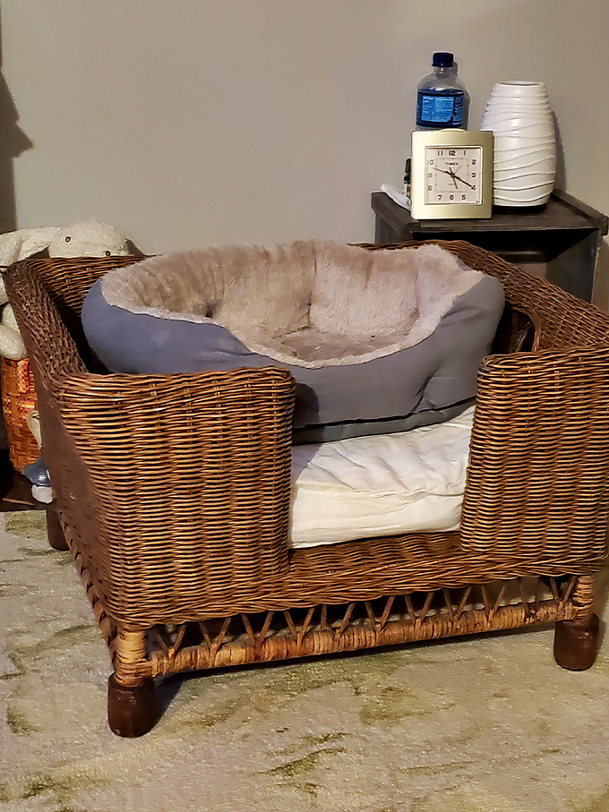 Not just a pet bed, but a wicker throne for the four-legged aristocrat in your life. Comfort fit for a canine king at commoner's prices.
