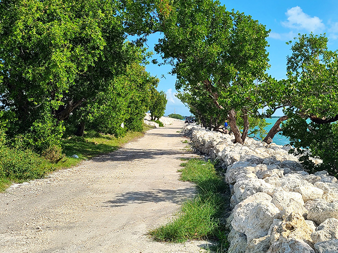 Nature frames the journey with tropical greenery on one side and limestone shores on the other&mdash;Florida's version of a red carpet.
