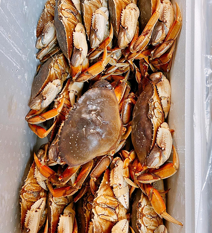 These Dungeness crabs aren't just fresh; they're practically still plotting their escape. Ocean-to-table doesn't get more authentic than this.
