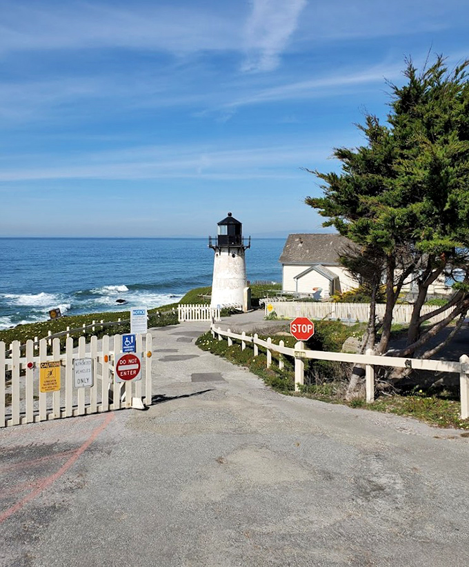 The entrance says "stop," but everything else says "come in and stay awhile." This gateway leads to one of California's most unique overnight experiences.