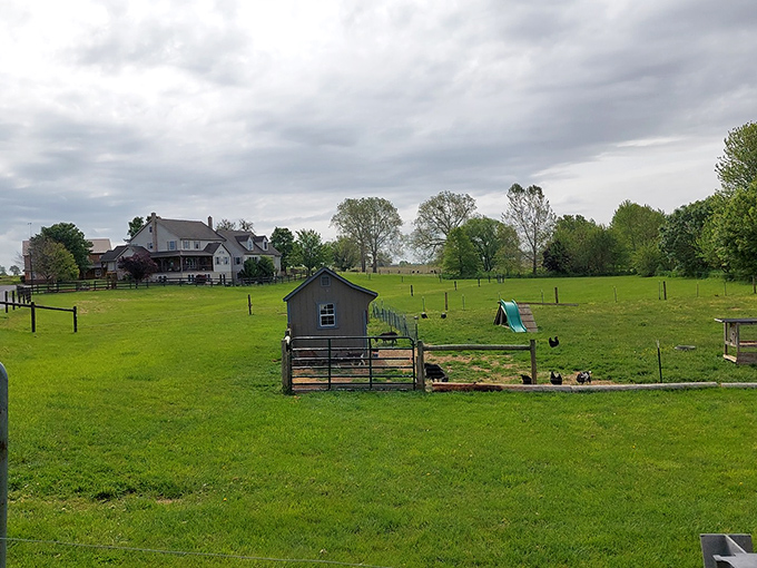 Simplicity by design: An Amish farm's outbuildings dot the landscape like pieces on a game board where the objective is peaceful coexistence with the land.