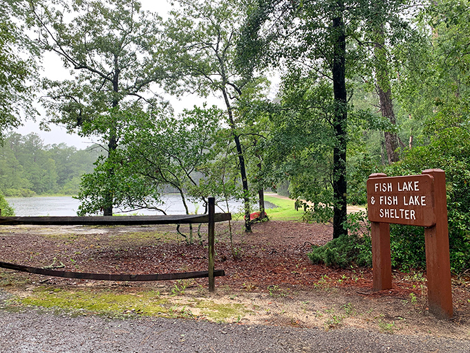 The "Fish Lake" sign doesn't just mark a location&mdash;it's an invitation to slow down, cast a line, and remember what patience feels like.