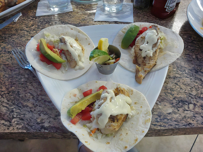 Fish tacos done right: simple, fresh, and adorned with just enough toppings to enhance without overwhelming the star of the show.