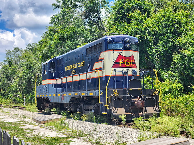 The Florida Gulf Coast #1835 diesel locomotive gleams in the sunshine, its bold blue and yellow paint scheme a rolling art piece against Florida's lush greenery.