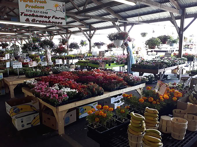 Garden center glory where your green thumb dreams come true, even if you killed that cactus last year.