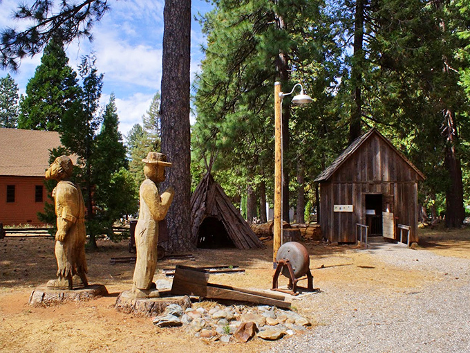 History comes alive at the Foresthill Divide Museum where these wooden sculptures tell tales of the area's past. Indiana Jones would approve of this authentic frontier experience.