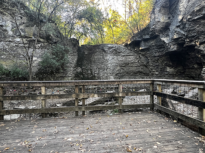 The observation deck provides front-row seats to geological history. These limestone walls tell Earth's story one sedimentary layer at a time.