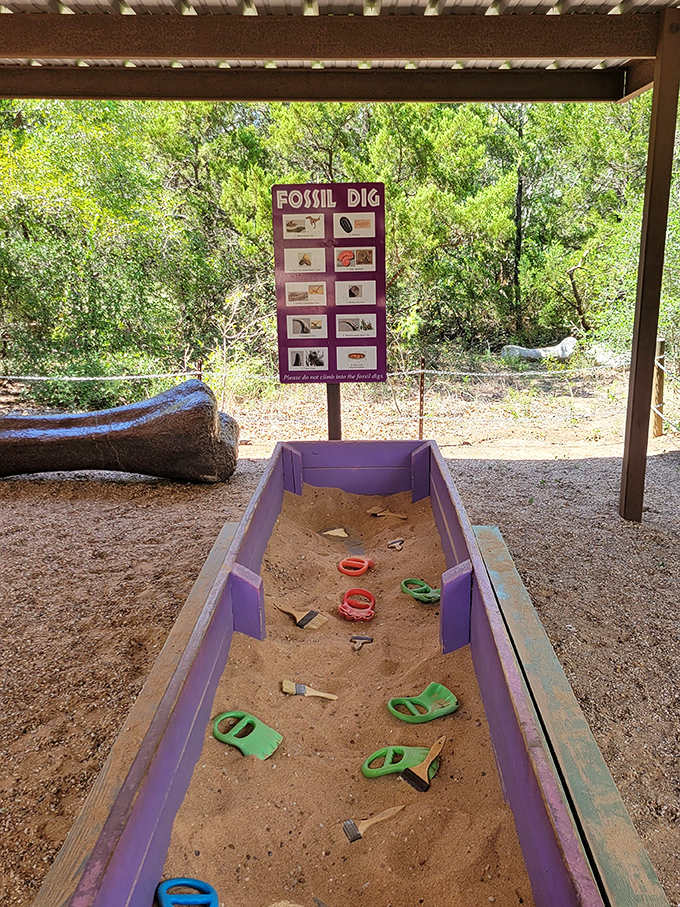 Buried treasure awaits young explorers at the Fossil Dig. Indiana Jones started somewhere, and it probably looked a lot like this.