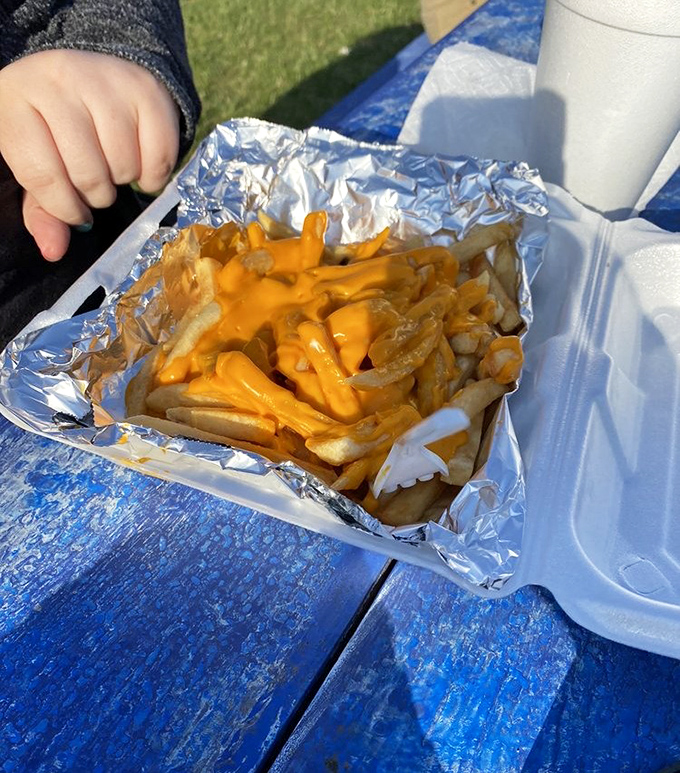 Cheese fries that don't apologize for being exactly what they are &ndash; a glorious, messy indulgence worth every napkin you'll need afterward.