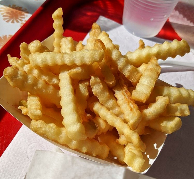 Crinkle-cut fries that achieve the impossible trifecta: crispy exterior, fluffy interior, and the uncanny ability to make you forget you're an adult with responsibilities.
