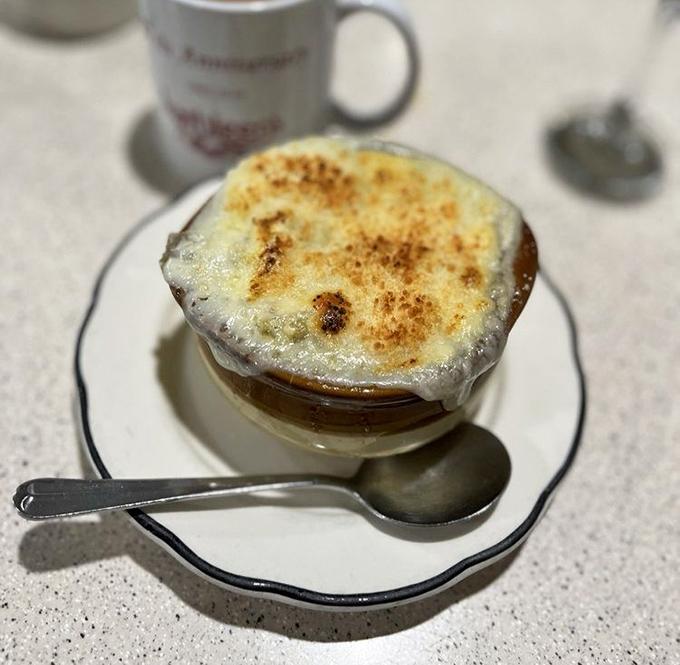 The French onion soup arrives like a warm hug in a bowl, with that glorious cheese cap that stretches with each spoonful.