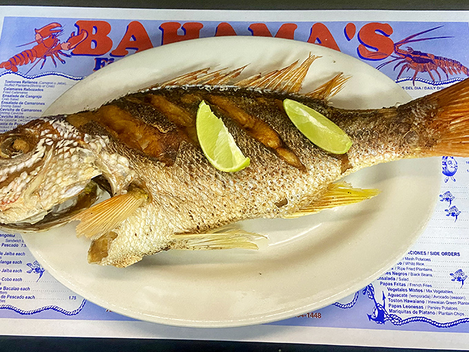 A whole fried snapper stares back at you, seemingly asking, "What took you so long to find me?" The lime wedges add the perfect citrus punch.