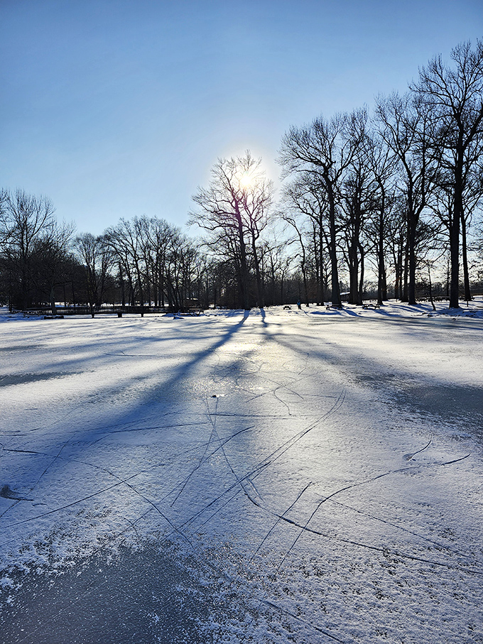 Winter transforms Bellevue into a scene straight from a holiday card &ndash; the kind your friends from Florida secretly envy.