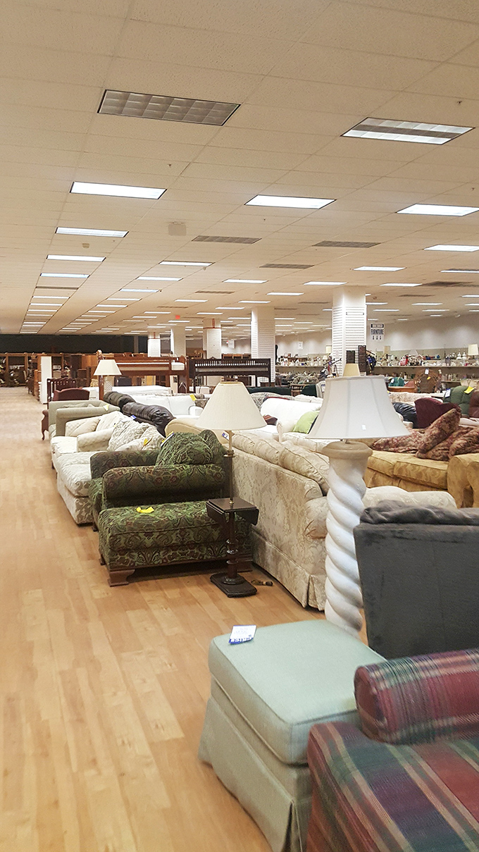 Table lamps stand at attention like soldiers in formation, each one with a story to tell and a corner to illuminate.