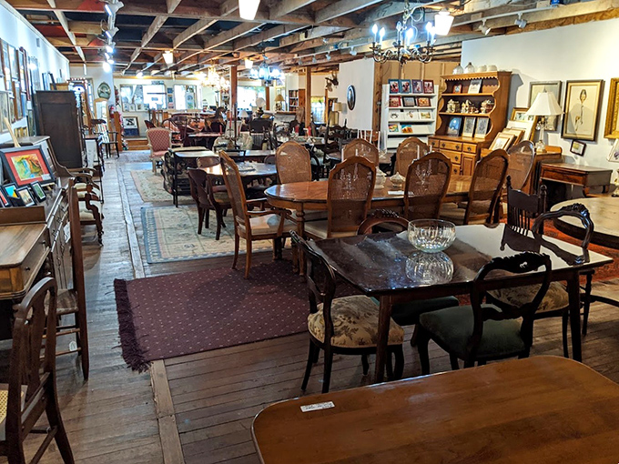 Furniture arranged like a dinner party where every chair has stories better than your uncle's fishing tales.