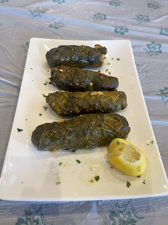 Grape leaves rolled with the precision of a Swiss watchmaker. These little parcels of rice-filled goodness deliver a perfect balance of tangy and savory in each bite.