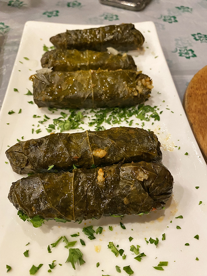 Stuffed grape leaves lined up like little green soldiers guarding their precious cargo of seasoned rice and herbs. A Mediterranean classic done right.