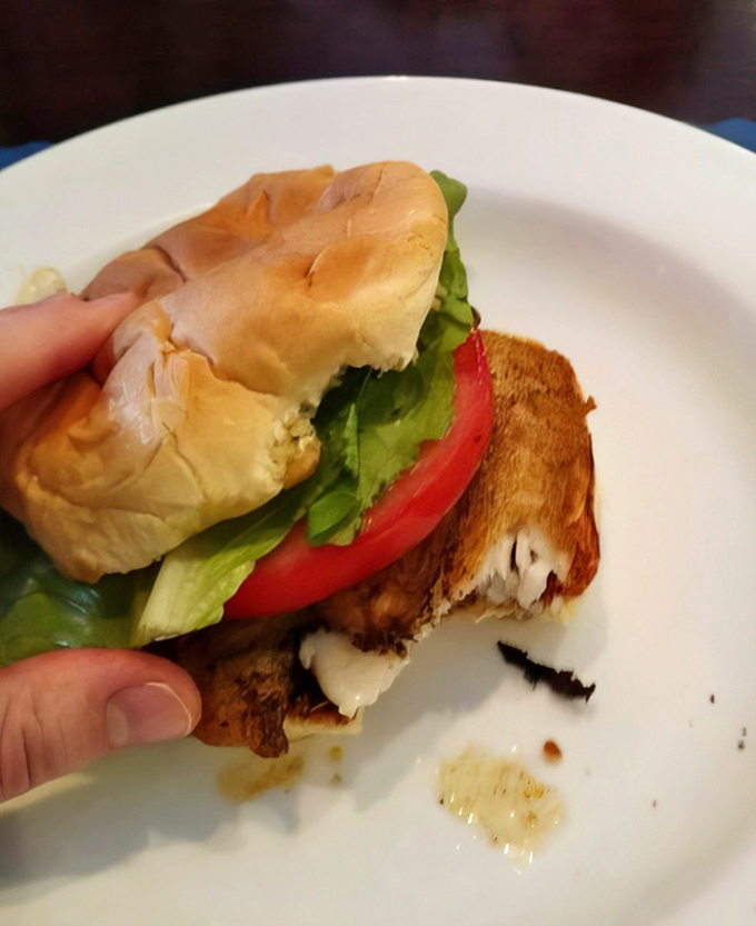 A sandwich that understands the assignment: fresh ingredients, perfect toasting, and the kind of construction that doesn't fall apart mid-bite.