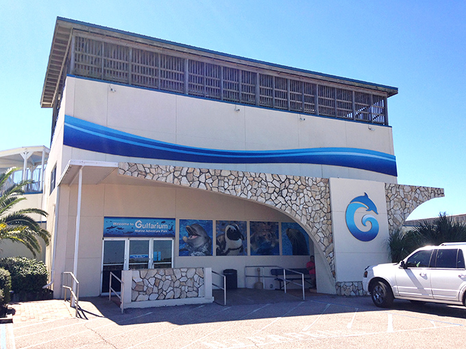 Where marine biology meets family fun. The Gulfarium's distinctive wave-inspired architecture has been making kids say "awesome" since before it was cool.