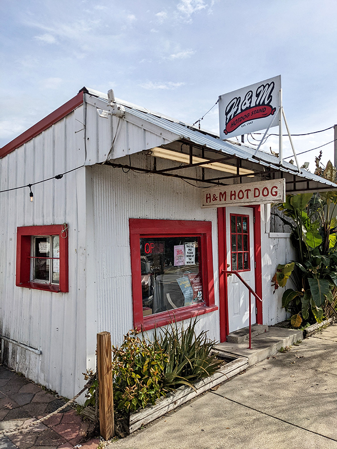 H&M Hot Dogs stands as a testament to culinary simplicity. Not all treasures come in fancy packages&mdash;sometimes they come in buns.