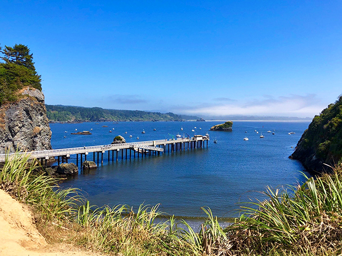 Trinidad Harbor cradles fishing boats like precious gems, where working vessels create postcard-perfect maritime scenes daily.