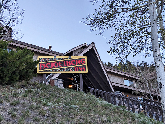 The Heidelberg Inn stands as a rustic reminder that some places are timeless, offering shelter and stories to generations of mountain lovers.