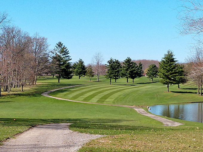 Golf courses in Geneva offer that perfect blend of challenge and scenery&mdash;where even a bad round feels like time well spent.