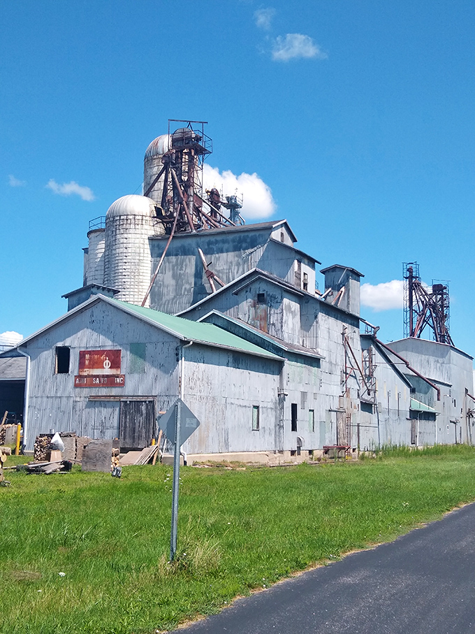 Agricultural heritage stands tall in this weathered elevator – a monument to the farming traditions that shaped central Michigan's character.