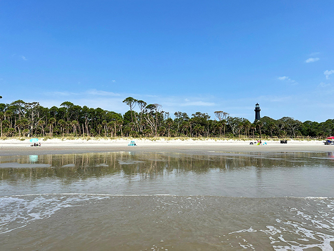 Hunting Island's pristine shoreline meets maritime forest in perfect harmony. Mother Nature showing off without even trying.