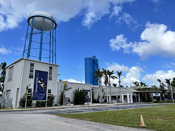 Blue water towers rise against Florida's impossibly blue sky at the IMAG Center, where science and imagination find common ground in this distinctive complex.