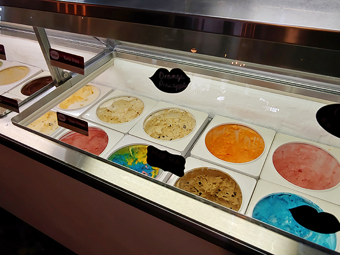 The ice cream selection offers a rainbow of frozen happiness, proving that dessert is indeed a perfectly acceptable reason for a road trip.